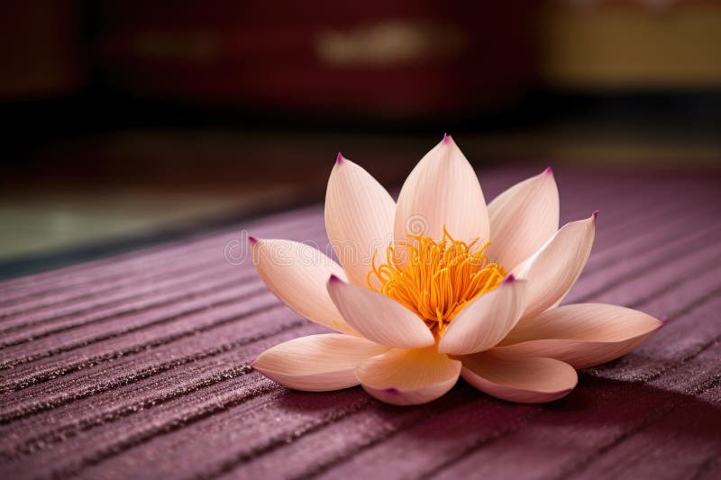 A Single Lotus Flower on a Praying Mat Stock Photo - Image of serenity ...