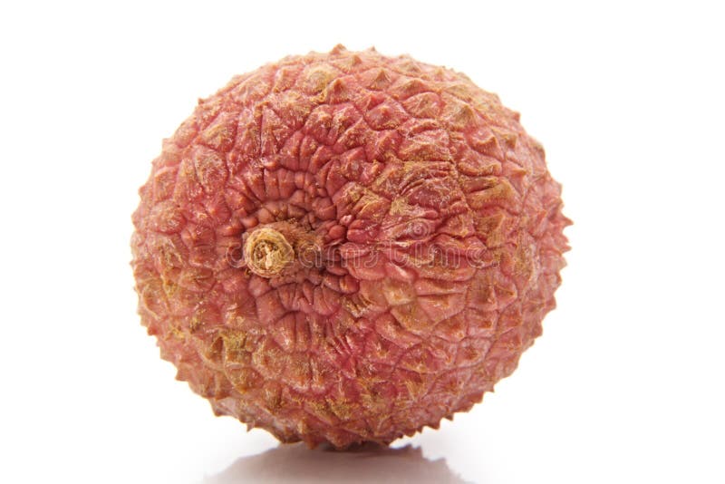 Single lychee stock image. Image of asian, white, fresh - 4569621