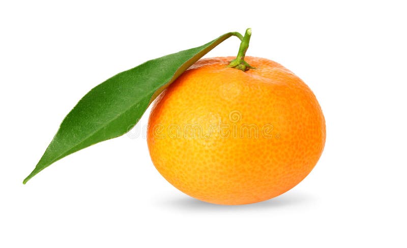 One Mandarin with a Green Leaf on a White Background Close-up. Stock ...