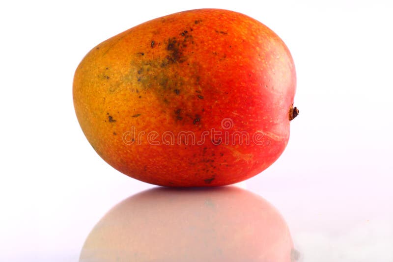 Single Mango stock image. Image of food, dieting, colored - 14324455