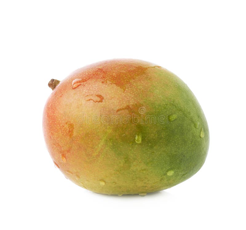 Single Mango Fruit Isolated Stock Photo - Image of gourmet, breakfast ...