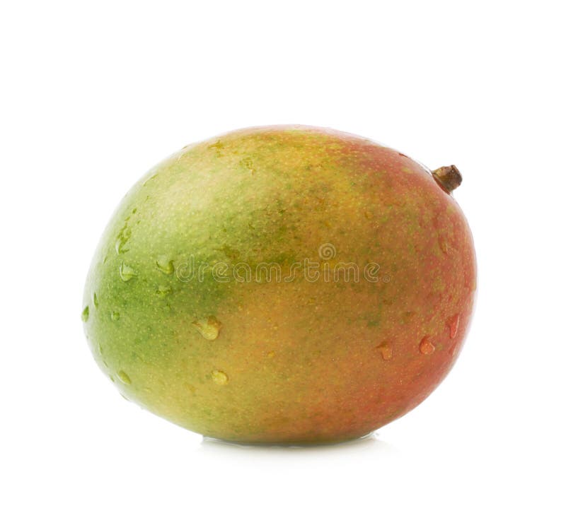 Single Mango Fruit Isolated Stock Image - Image of green, closeup: 56114993