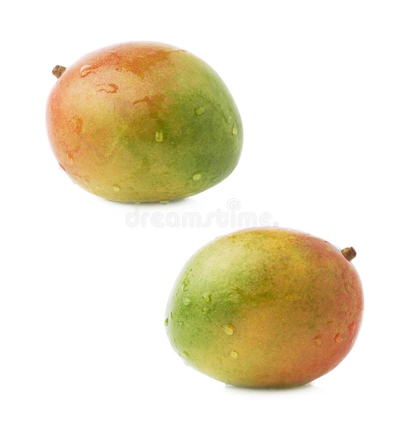 Single Mango Fruit Isolated Stock Image - Image of dieting, background ...