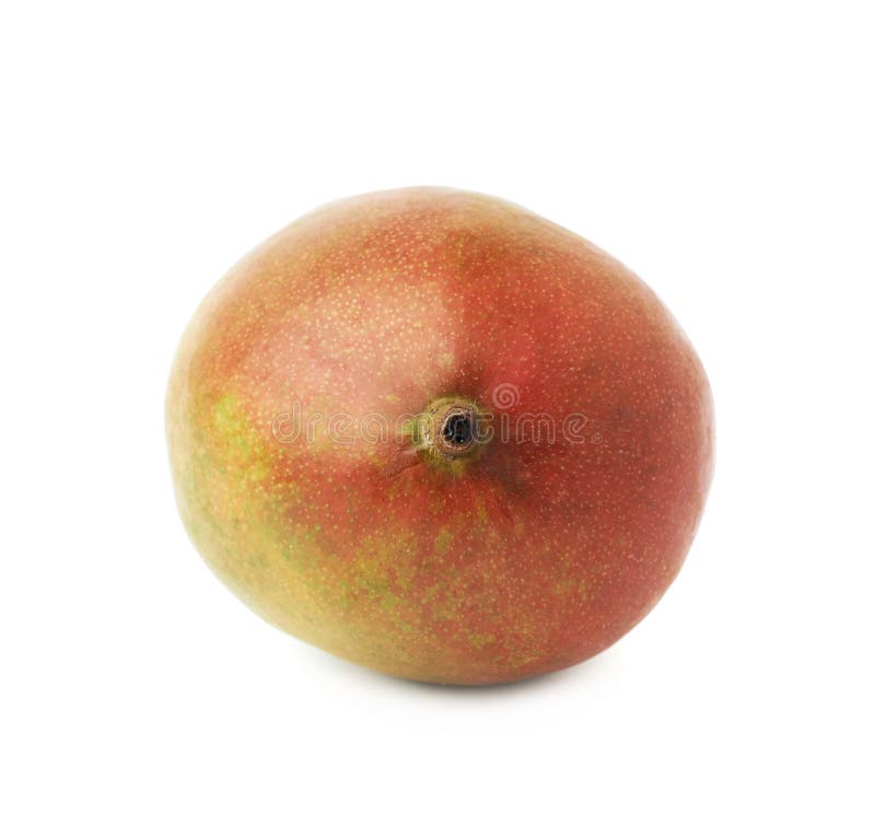Single Mango Fruit Isolated Stock Photo - Image of sweet, food: 55774346