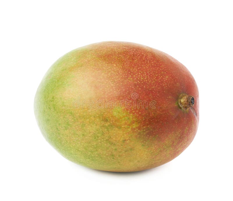 Single Mango Fruit Isolated Stock Image - Image of green, closeup: 56114993