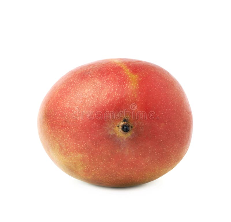 Single Mango Fruit Isolated Stock Photo - Image of snack, citrus: 56115284 Single Mango Fruit Isolated Stock Photo - Image of snack, citrus: 56115284