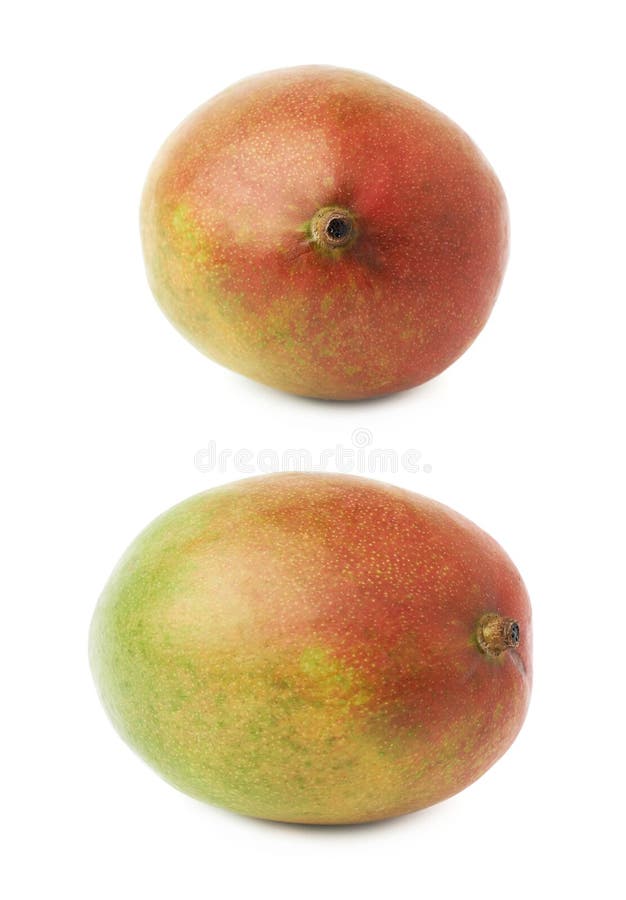 Single Mango Fruit Isolated Stock Image - Image of green, closeup: 56114993