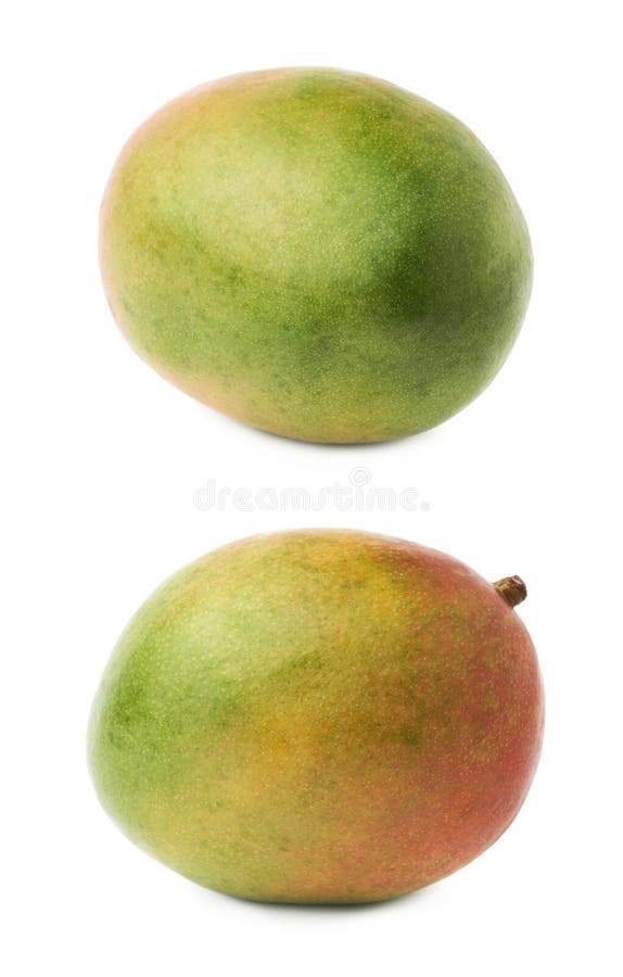 Single Mango Fruit Isolated Stock Image - Image of green, closeup: 56114993