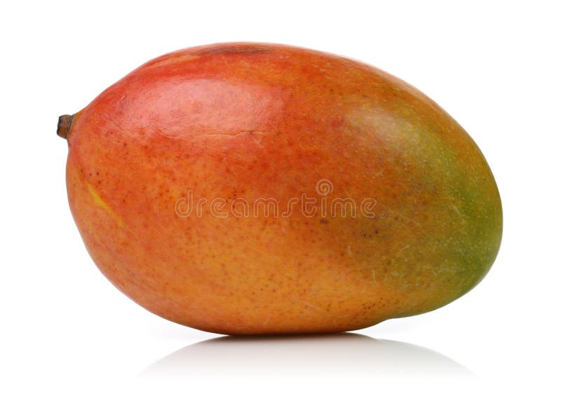 Single mango stock image. Image of nutrition, sweet, healthy - 31754637