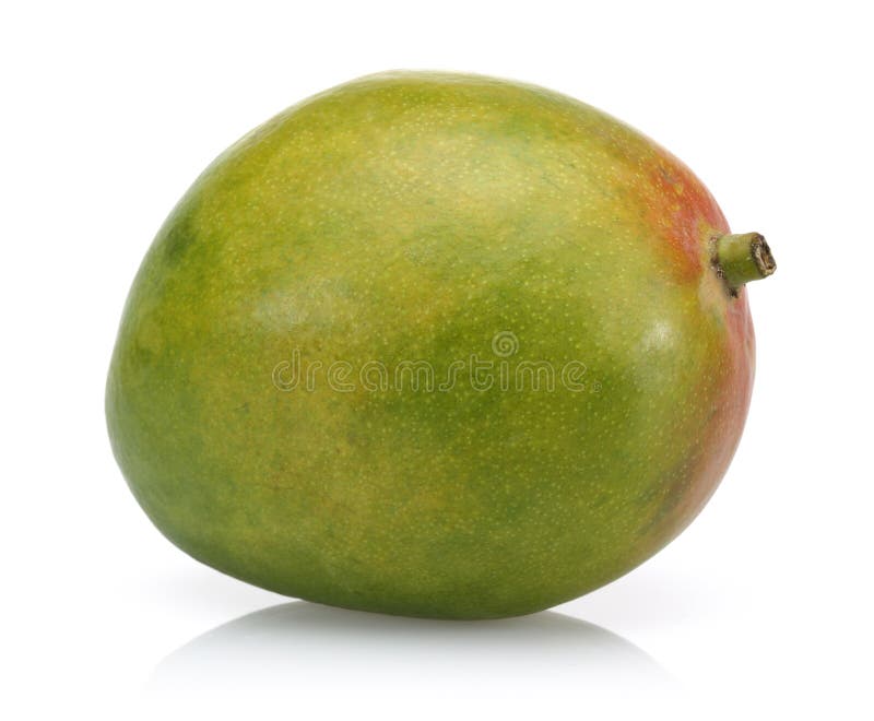 Single mango stock photo. Image of white, botany, flora - 20236670