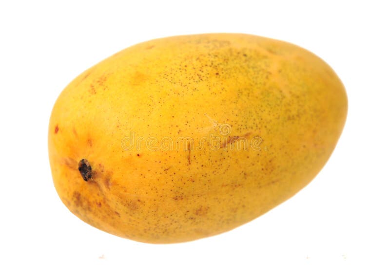 Single Mango Royalty Free Stock Photography - Image: 31754637