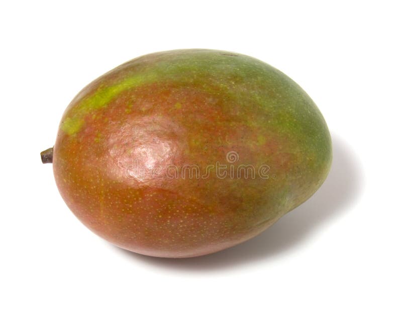 Single Mango Isolated on White Background Stock Image - Image of fruit ...