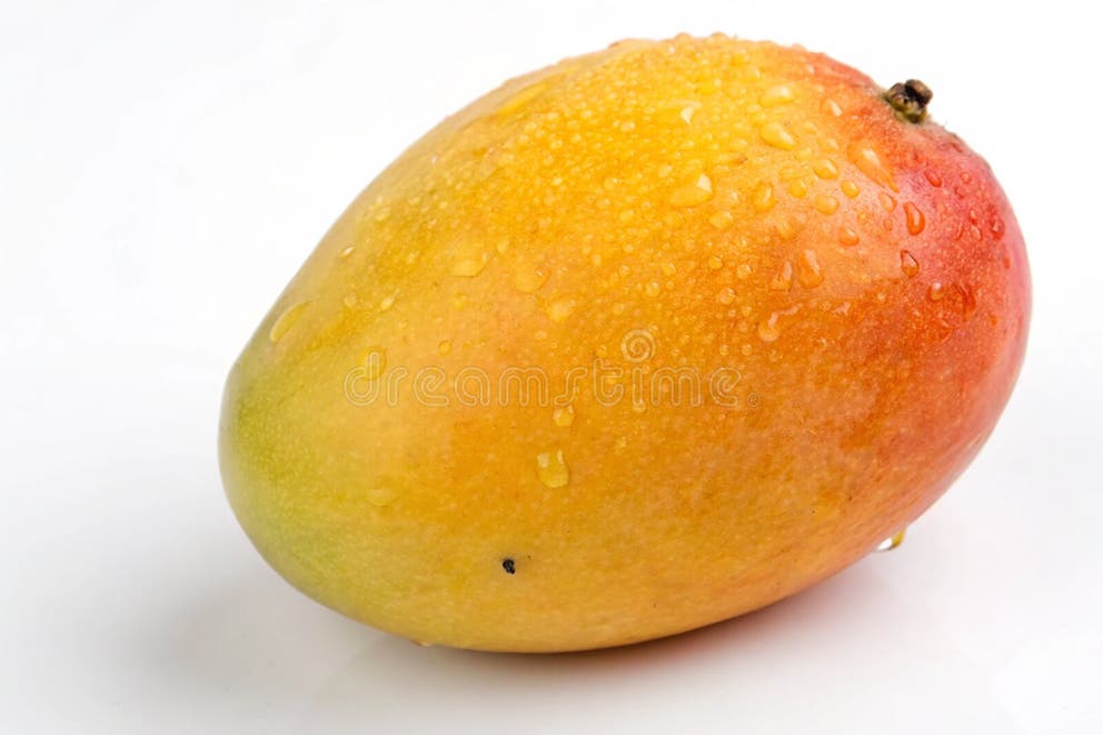 A Single Mango Isolated on White Background Stock Illustration ...