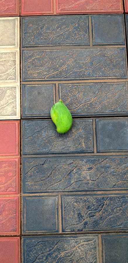 Single Mango Placed on the Ground Stock Photo - Image of daytime ...