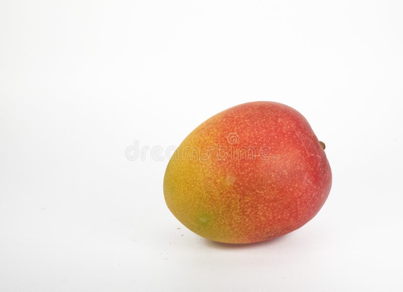 Single Reddish-Yellow Mango on White Background Stock Photo - Image of ...