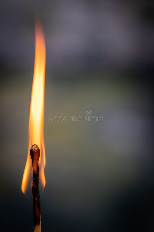 Single Match Stick Flame stock image. Image of fire - 243161351