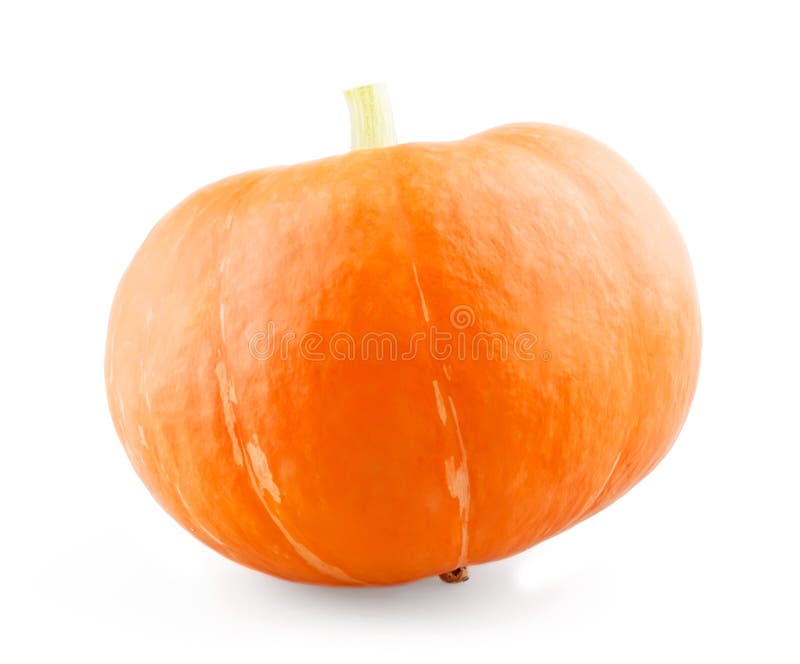 Pie pumpkin stock image. Image of halloween, small, orange - 11357543