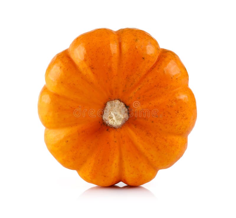 Single mini pumpkin stock image. Image of halloween, single - 20678553