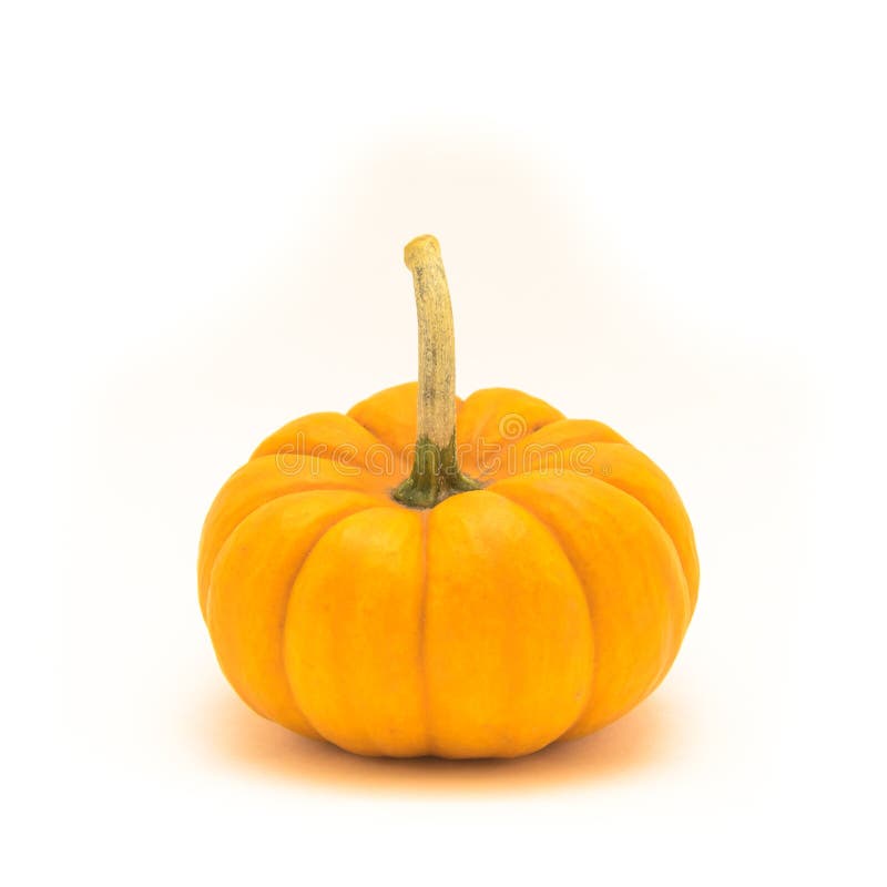 Mini Pumpkin Halloween Alignments Stock Image - Image of color ...