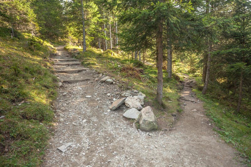 A Single Mountain Path Splits in Two Different Directions Stock Image ...