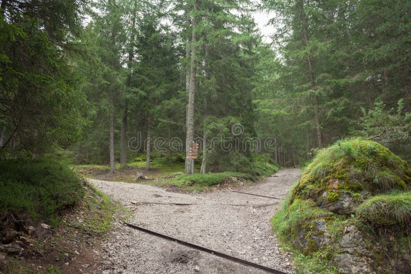 A Single Mountain Path Splits in Two Different Directions Stock Photo ...
