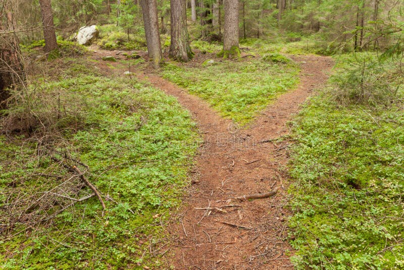 A Single Mountain Path Splits in Two Different Directions. it is an ...