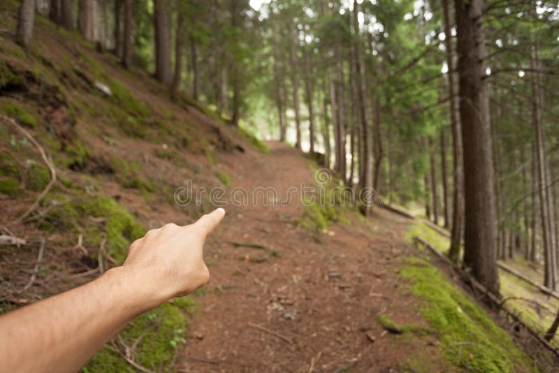 A Single Mountain Path Splits in Two Different Directions. it`s an ...