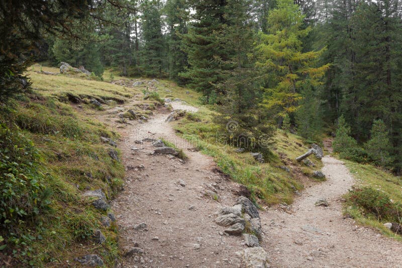 A Single Mountain Path Splits in Two Different Directions. it`s an ...
