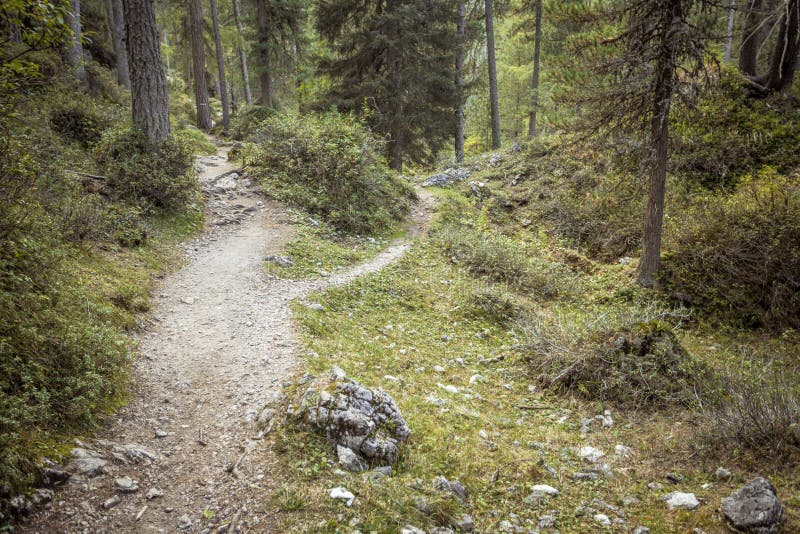 A Single Mountain Path Splits in Two Different Directions. it`s an ...