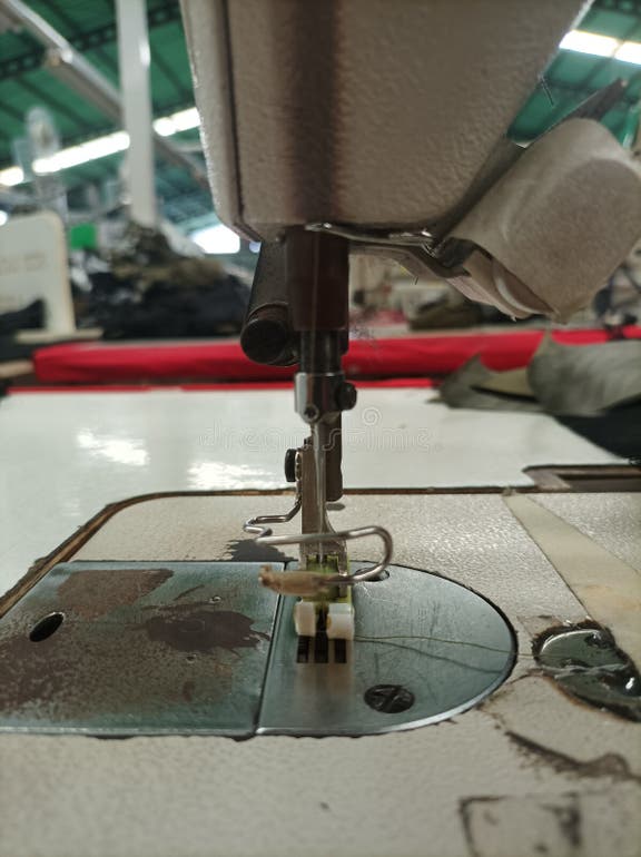 This is a Single Needle Sewing Machine Equipped with a Needle Guard ...