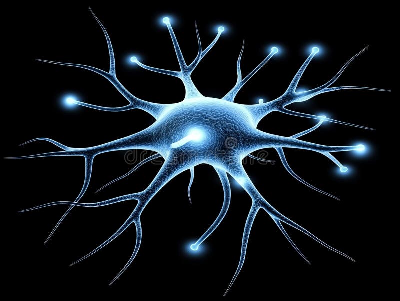 Single Neuron Illustration with Branching Dendrites and Central Axon ...
