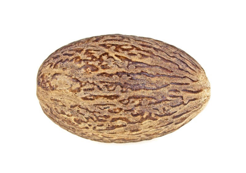 Single Nutmeg Isolated on White Background Stock Photo - Image of ...