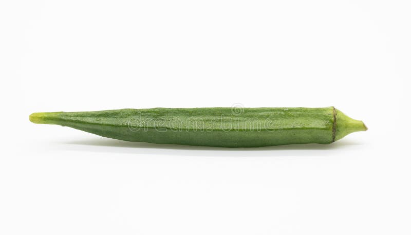 Single Okra or Lady Finger Isolate on White Background Stock Photo ...