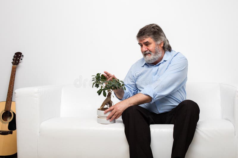 Single Old Men on White Couch with a Bonsai Stock Image - Image of ...