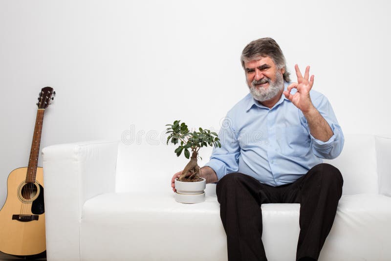 Single Old Men on White Couch with a Bonsai Stock Photo - Image of ...