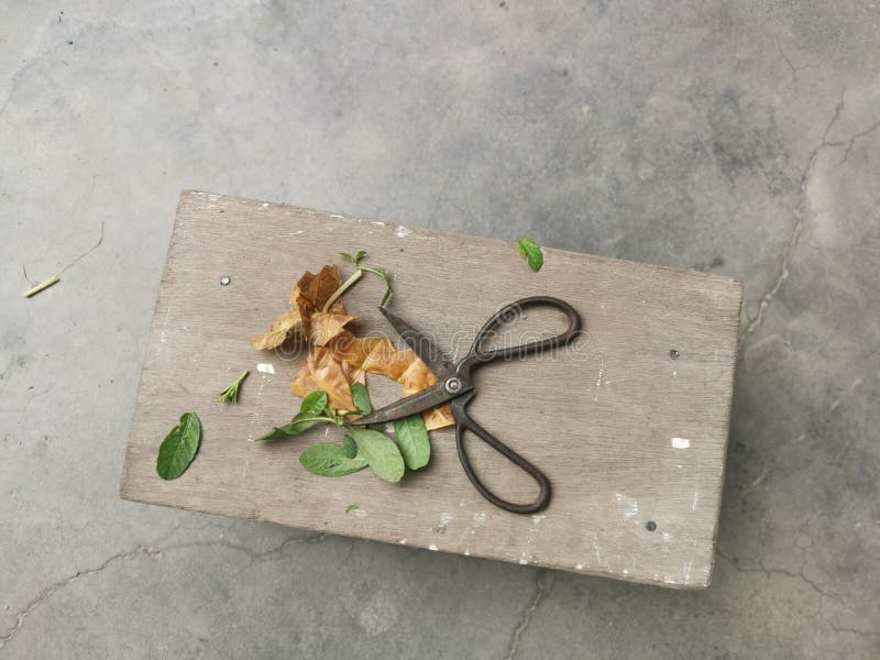 A Single Old Traditional Chinese Antique Scissor. Stock Image - Image ...