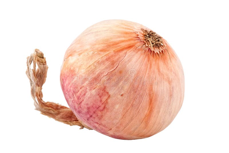 Single onion stock image. Image of salad, cooking, flavor - 10909707