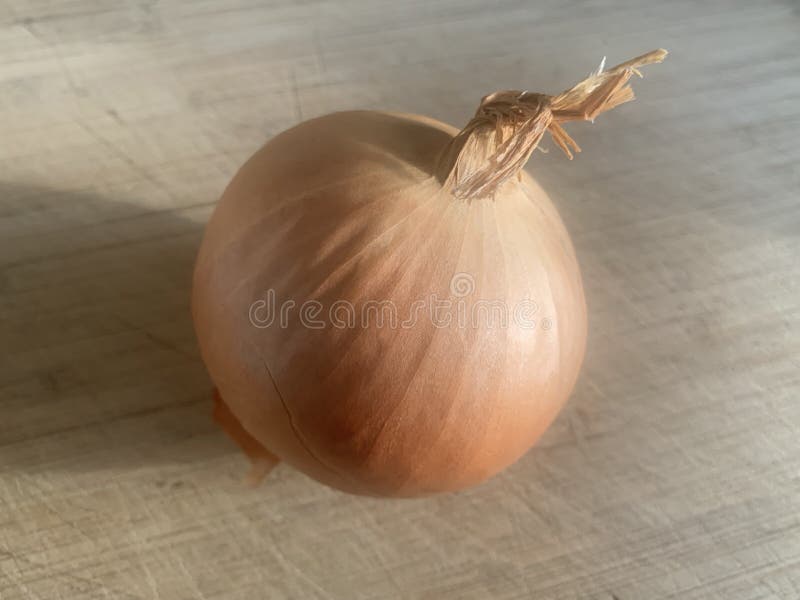 Single onion isolated stock image. Image of flavours - 251772827