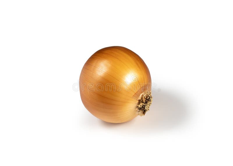 Single Onion Isolated on White Background Stock Image - Image of ...