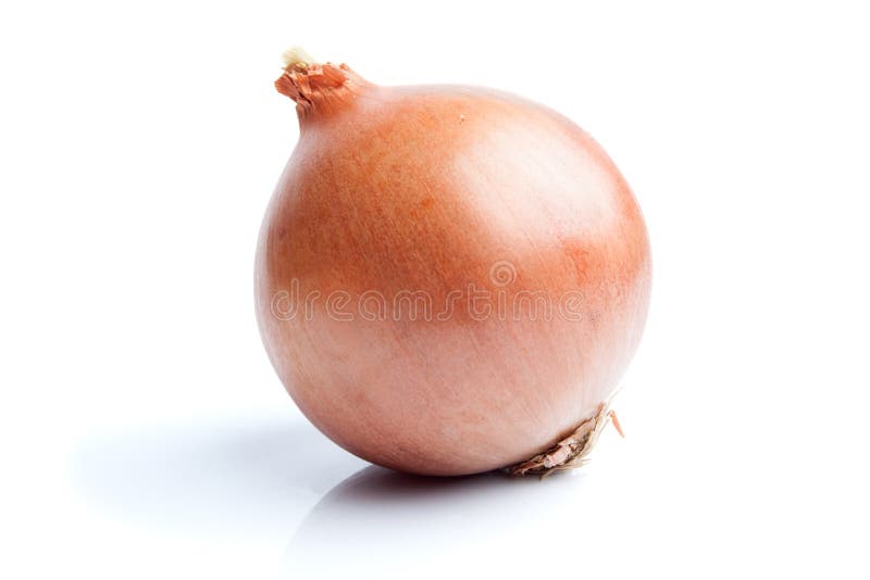 Single onion on white stock image. Image of food, single - 38267537