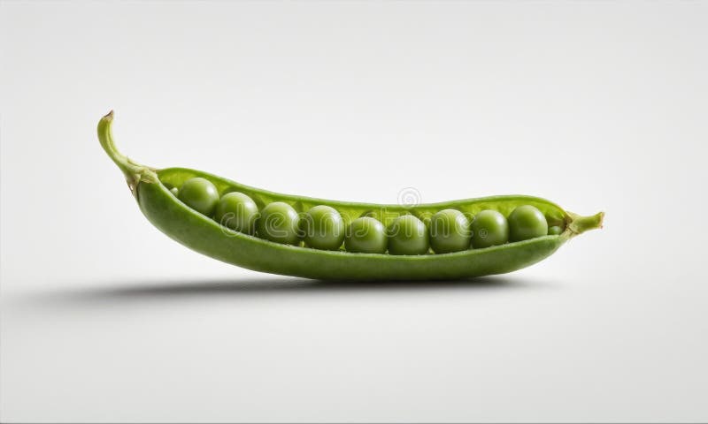 A Single Open Pea Pod with Eight Green Peas Inside Stock Illustration ...