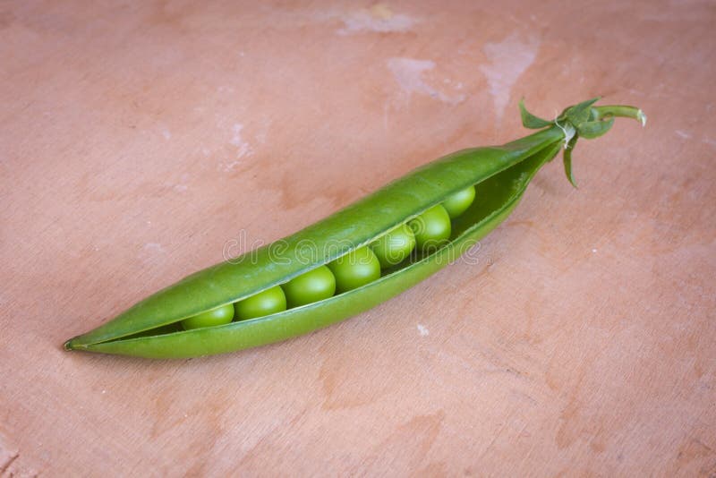 Single opened pea pod stock photo. Image of single, plantation - 56650964