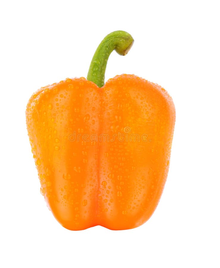 A Single Orange Bell Pepper Isoalted on a White Stock Image - Image of ...