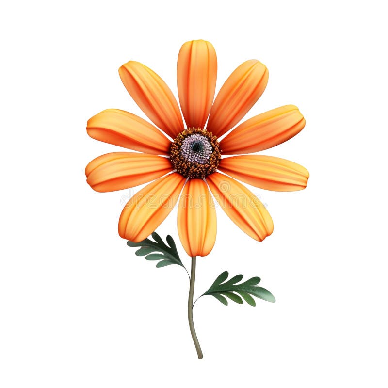 A Single Orange Daisy stock photo. Illustration of blossom - 348988360
