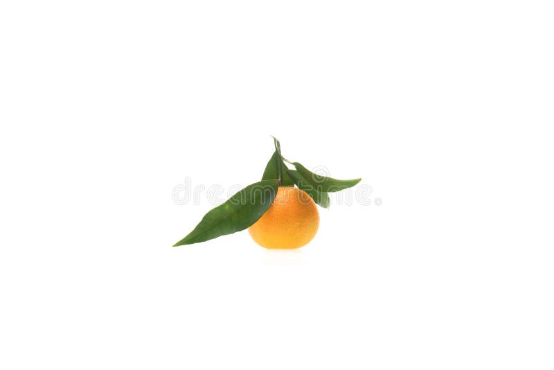 A Single Orange Fruit with Leaf Isolated on White Background Stock ...