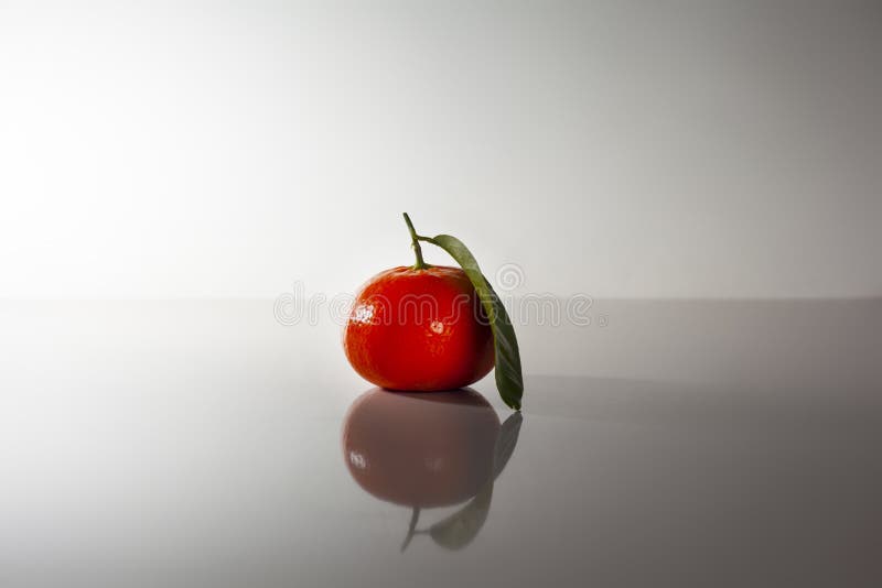 Single Orange Mandarin Fruit on Reflective White Surface with Contrasty ...