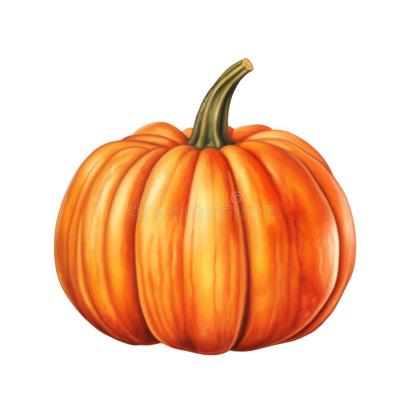 A Single Orange Pumpkin with a Green Stem Stock Image - Illustration of ...