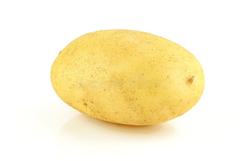 Single Organic Potato Isolated on White Background Stock Photo - Image ...