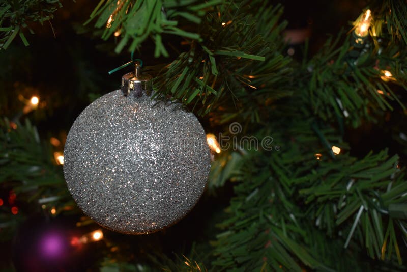 Single Red Ornament Hanging from Pine Tree with Glowing Lights Stock ...