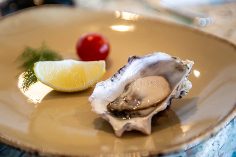Single Oyster on the Half Shell Stock Image - Image of fresh, single ...